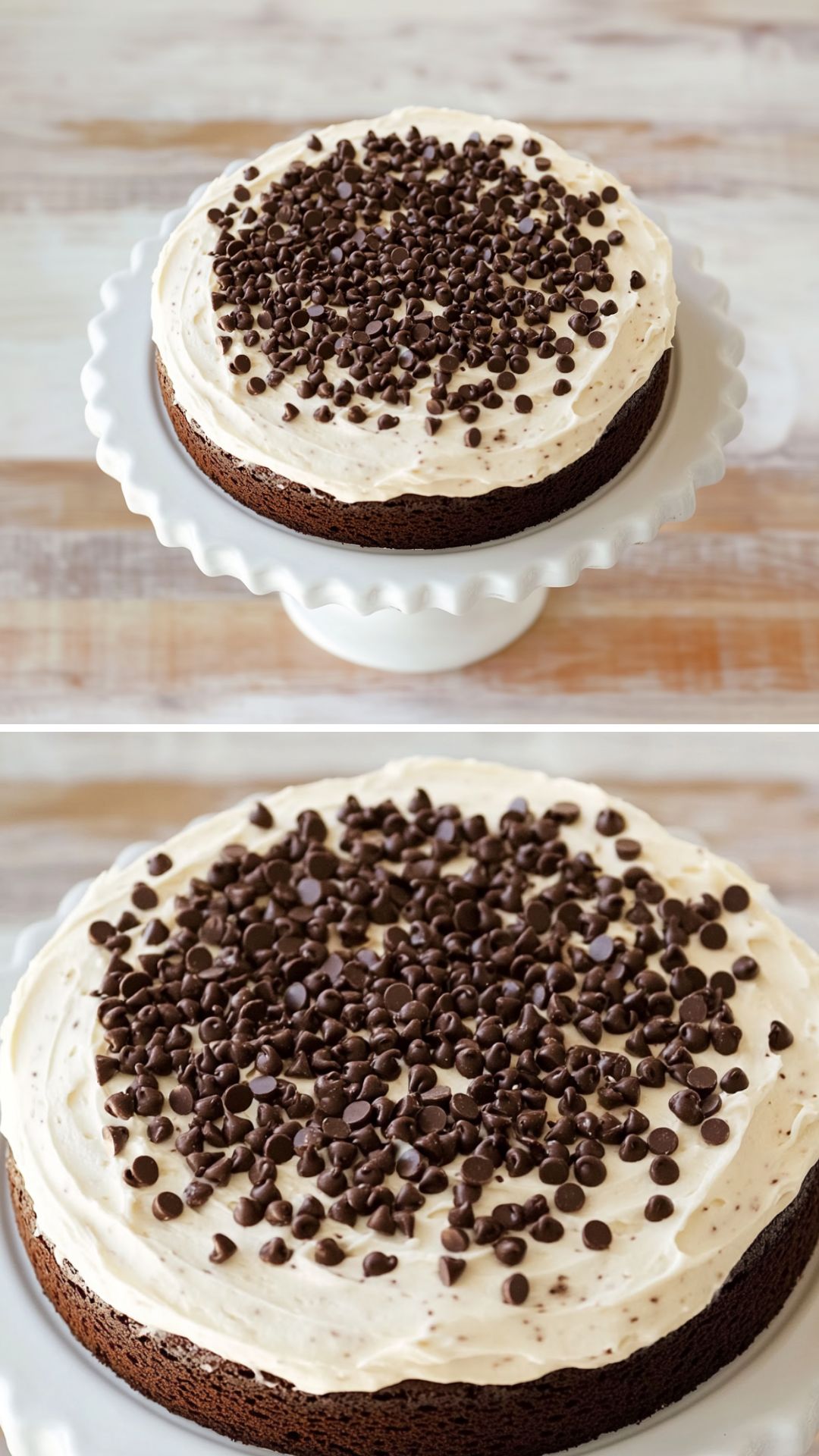 11-Carton Cake Recipe | Well Cooked Meal